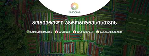 Digital Village ციფრული სოფელი საქართველო ხორბლის კულტურის უძველესი კერა გამოირჩევა ამ