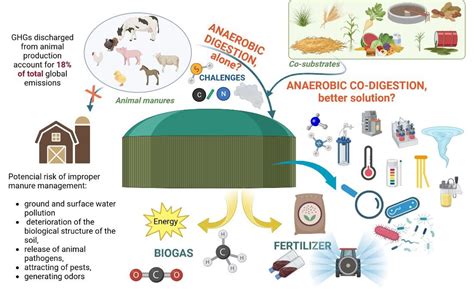 Energies Mdpi On Linkedin Highlycitedpaper Anaerobicdigestion