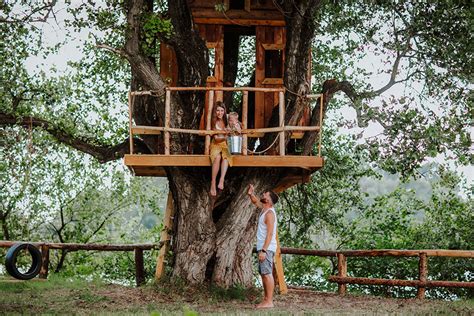 What Are The Best Trees For Building A Treehouse