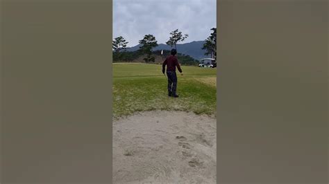 러프에 공이 꽉 박혔네요😱ㅋ골프골프존스크린골프nx골프존cc필드필드골프필드레슨웨지퍼터아이언비거리골프레슨숏게임숏아이언드라이버롱아이언우드유틸숏