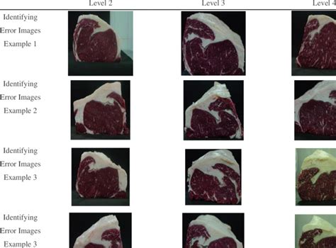 Example Of Recognition Error Image In Query Set Download Scientific