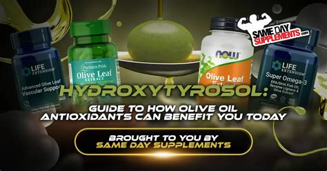 Hydroxytyrosol How Olive Oil Antioxidants Can Benefit You Today