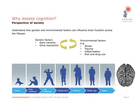 Ppt Assessing Cognition Powerpoint Presentation Free Download Id6223305