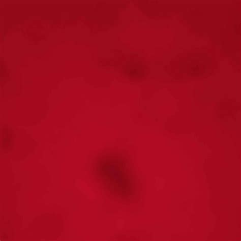 Praveen Kumar Youtube