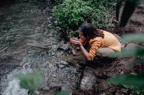 Tips Ampuh Untuk Selamat Saat Tersesat Di Hutan