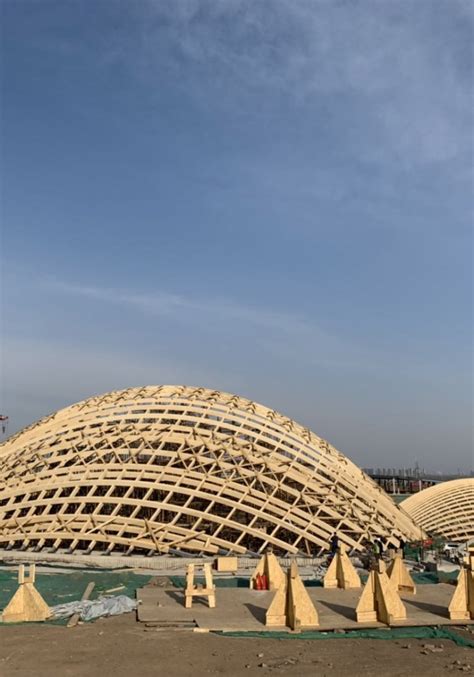 Taiyuan Domes Botanical Garden Three Impressive Timber Gridshell Dome Structures In China