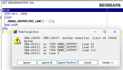 ORU 10027 buffer overflow limit of 20000 bytes 해결 방법 범상치 않은 블로그