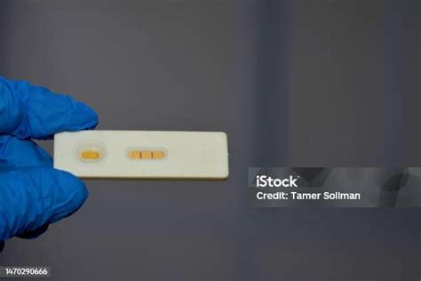 양성 소변 임신 검사 인간 융모 성 성선 자극 호르몬 성장하는 배아 세포 융합 성 영양성 세포를 둘러싸고있는 영양막 세포에 의해 생성 된 임신의 모성 인식 호르몬 가족에