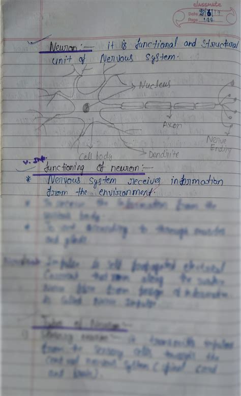 Solution Chapter 7 Control And Coordination Science Class 10th Topper S Handwritten Notes