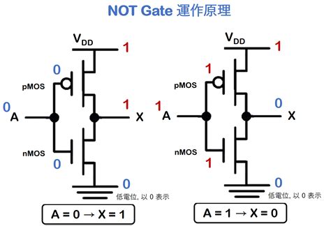 Ic上的電晶體每隔兩年便會增加一倍 所以電晶體到底是做什麼用的？電晶體如何做出邏輯閘？ 寫點科普 Lynn