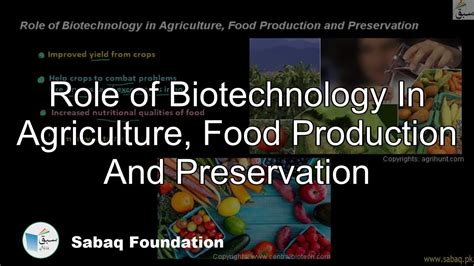 Applications Of Biotechnology In Food Industry