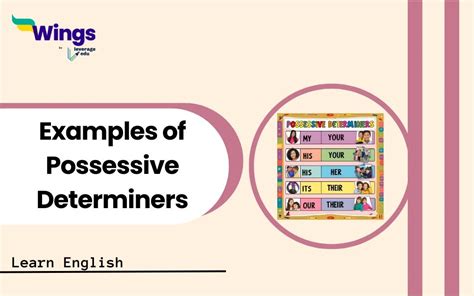 Examples Of Possessive Determiners Definition Usage