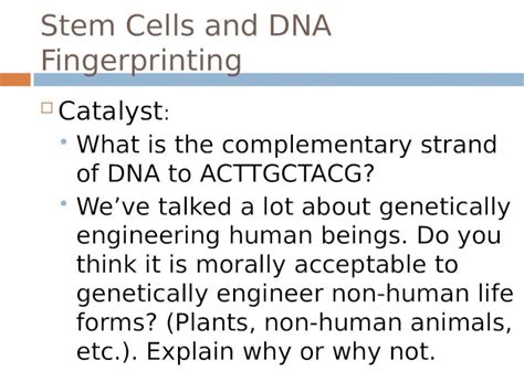 Ppt Stem Cells And Dna Fingerprinting Catalyst What Is The