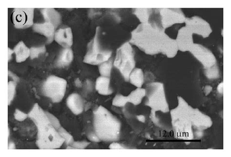 Microstructure Of The B4c Tib2 Composites Sps Ed Using Different Download Scientific Diagram