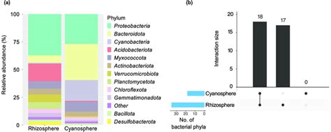 Comparison Of Mean Relative Abundances Of Bacterial Archaeal Phyla In Download Scientific