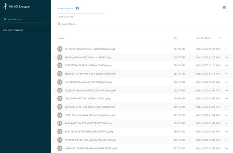 successfully saved and uploaded screenshots are not shown in dashboard videos are · issue