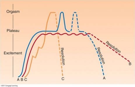 Psyc Test Flashcards Quizlet