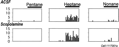 Scopolamine Enhances Generalization Between Odor Representations In Rat Olfactory Cortex