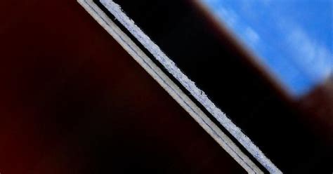 comparing beta birds of paradise and beta natural selection thickness and