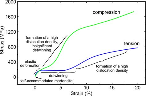 19 Asymmetry Of Compressive And Tensile Stress Strain Curves Of Download Scientific Diagram