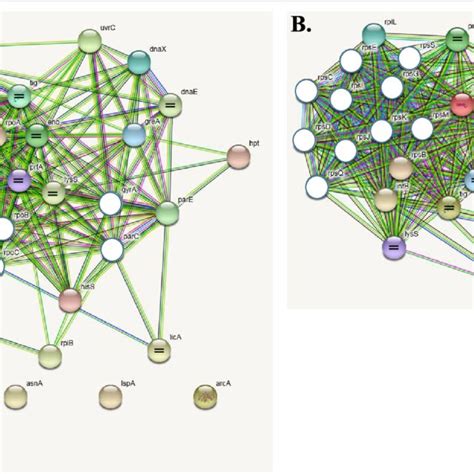 The Protein Protein Interaction Network Analysis Tool String Database Download Scientific