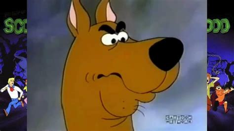 Os Novos Filmes De Scooby Doo 1972 Scooby Doo Encontra Jerry Reed
