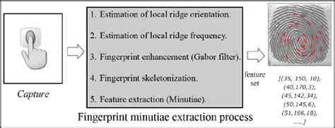 Fingerprint Minutiae Extraction Process Download Scientific Diagram