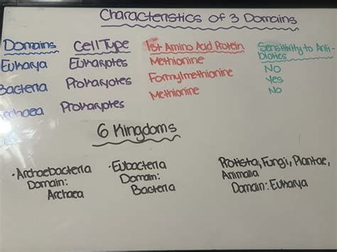Classification Of Microorganisms Lecture 2 Flashcards Quizlet