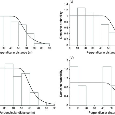 Detection Functions Curved Black Line On Truncated Download