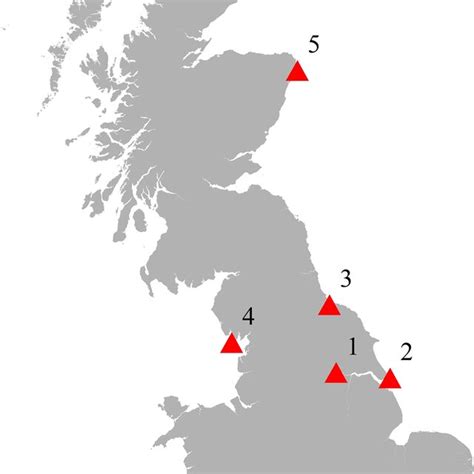 Bioenergy With Carbon Capture And Storage Deployment Options In The Download Scientific Diagram