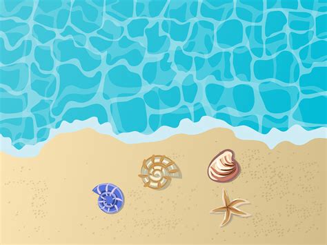 Seashore Vector