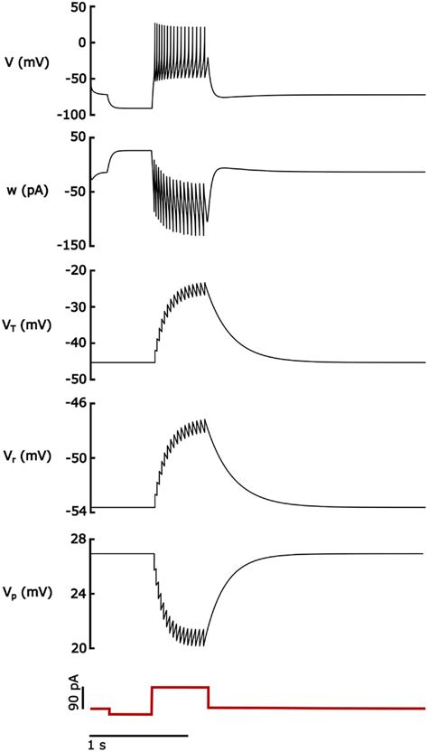 Particle‐swarm Based Modelling Reveals Two Distinct Classes Of Crhpvn Neurons Lameu 2023