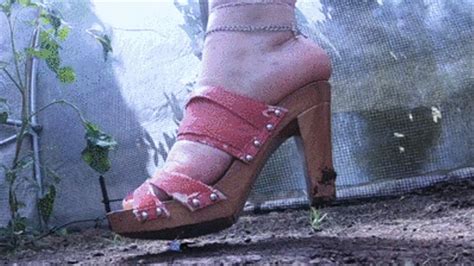 Cc Crushed Like A Bug 2 Sfx Cruel Claudia Clips4sale