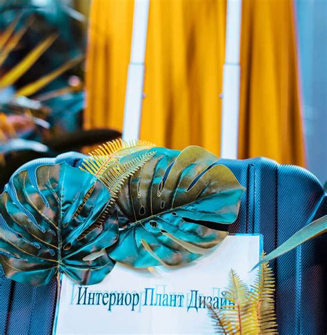 Поддръжка на интериорно озеленяване Interiorplant