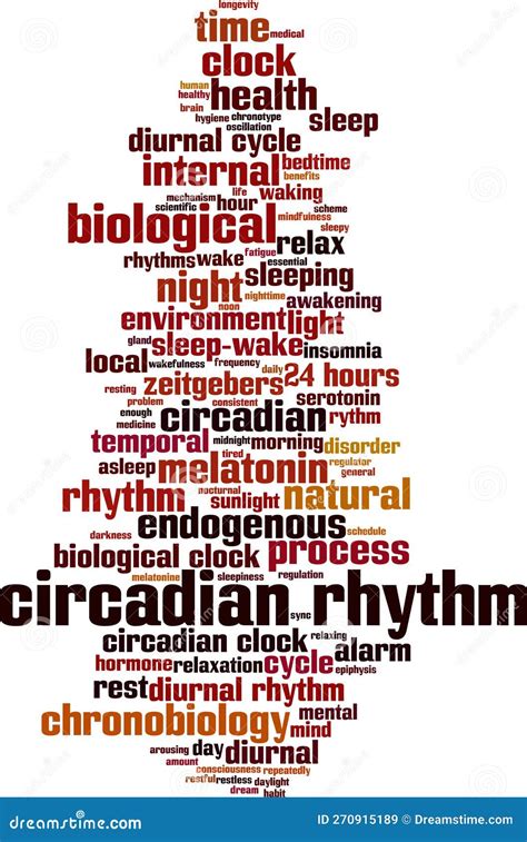 Circadian Rhythm Word Cloud Stock Vector Illustration Of Natural