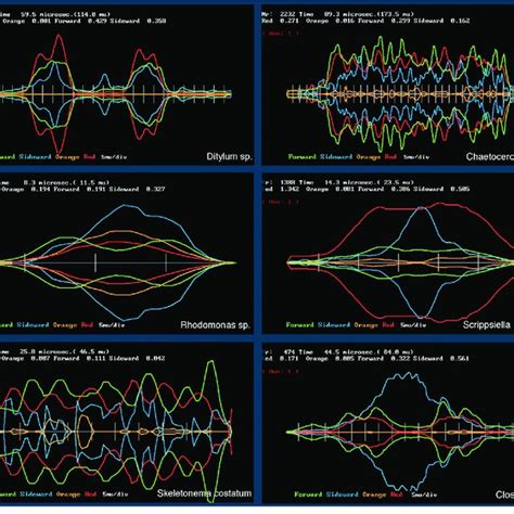 Light Scatter And Fluorescence Profiles Of A Typical Individual Cell