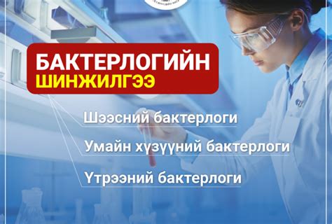 Хүний папиллома вирус Hpv гэж юу вэ Цагаан уул эмэгтэйчүүдийн эмнэлэг
