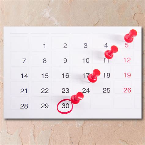 Учебная версия платформы 1С Предприятие 8 3 где бесплатно скачать