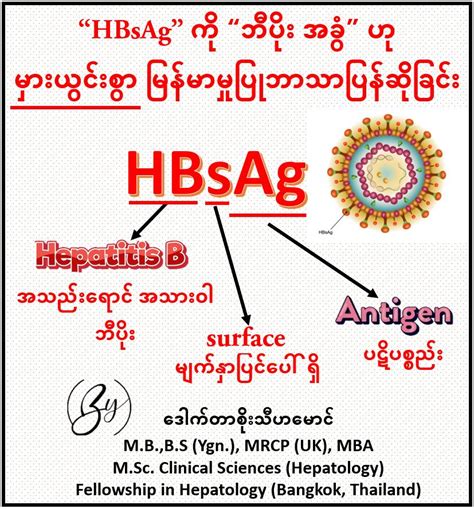 Dr Hbsag ကို “ဘီပိုး အခွံ” ဟု မှားယွင်းစွာ မြန်မာမှုပြုဘာသာပြန်ဆိုခြင်း ဘီပိုး နဲ့ ပတ်သက်လို့