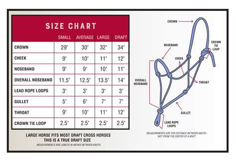 Silvertip Big Sky Rope Halter Weaver Equine