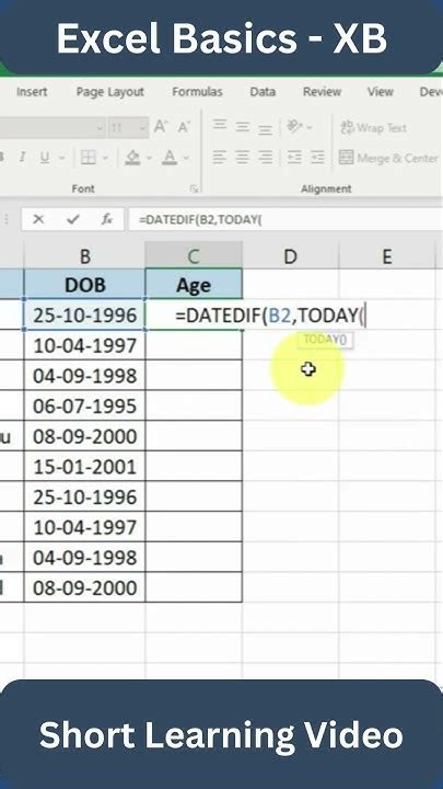 How To Calculate Age In Excel Datedif Functions Excelbasics How