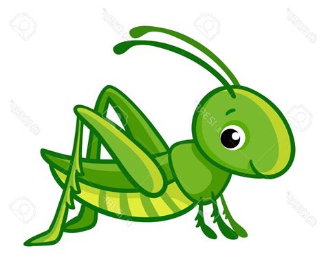 Grasshopper Drawing At Explore Collection Of