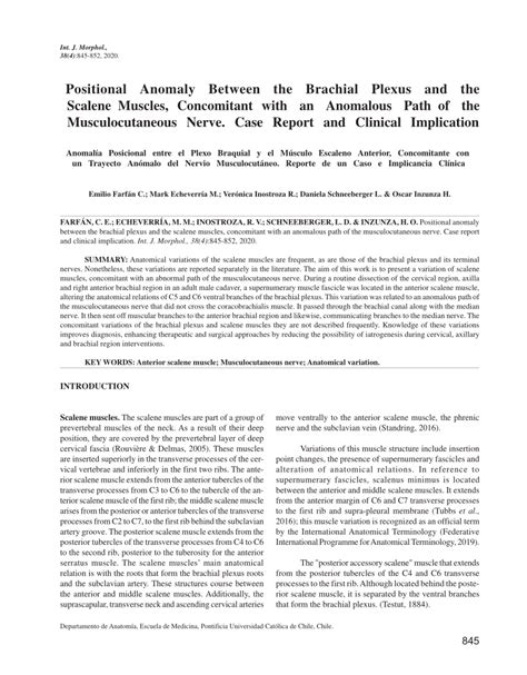 PDF Positional Anomaly Between The Brachial Plexus And The Scalene Muscles Concomitant With