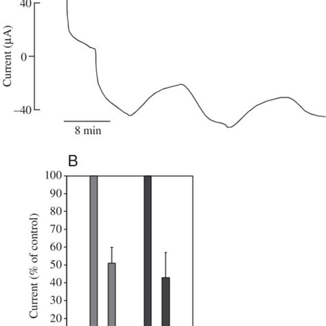 A Effects Of Apical And Basolateral Ph Shifts On The Transepithelial Download Scientific
