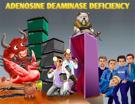 Adenosine Deaminase Deficiency Osmosis