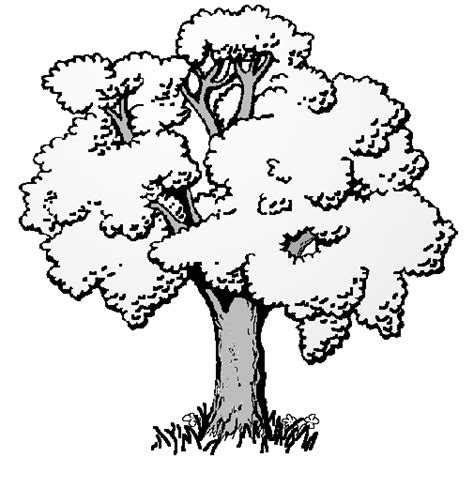 Companion To The Nursing Phd And Dnp Statistics Curricula Appendix C — Statistical Analysis