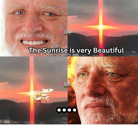 Imjen The Sunrise Is Very Beautiful Until☠️☠️😂 Onepiece