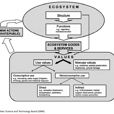 Ecosystems And Total Economic Value Indicating Use Values And Non Use