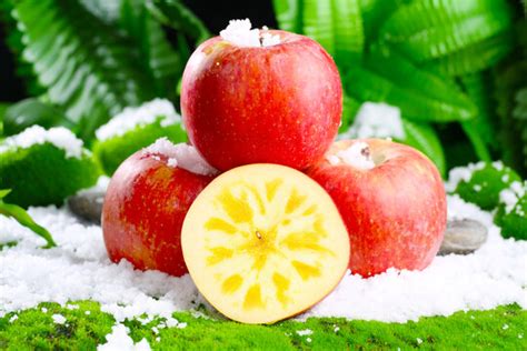 冰糖心苹果图片素材 冰糖心苹果设计素材 冰糖心苹果摄影作品 冰糖心苹果源文件下载 冰糖心苹果图片素材下载 冰糖心苹果背景素材 冰糖心苹果模板下载 搜索中心