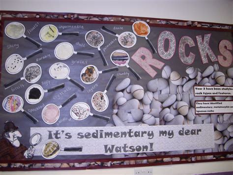 Displays For Rocks At Margaret Cass Blog